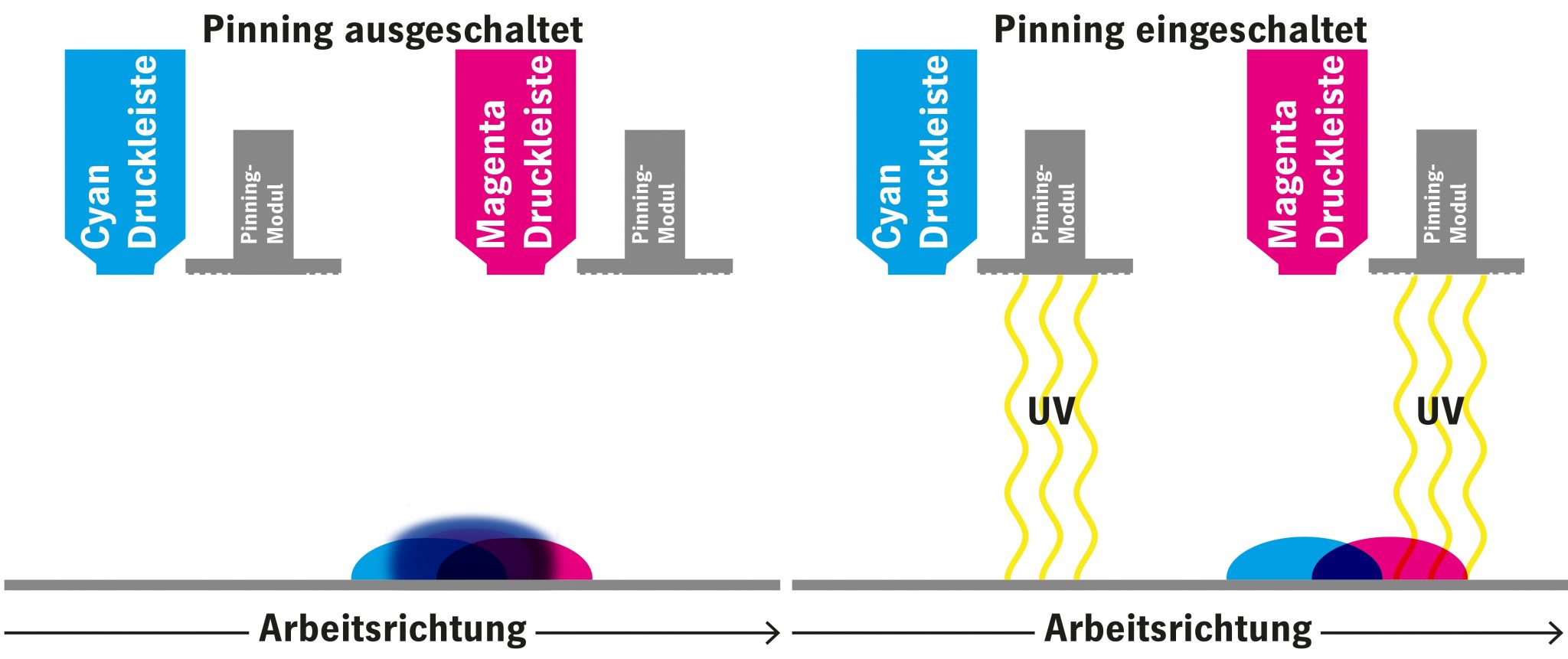 Digitaler Etikettendruck - was kann die neue Gallus Alpha? | Etiketten ...